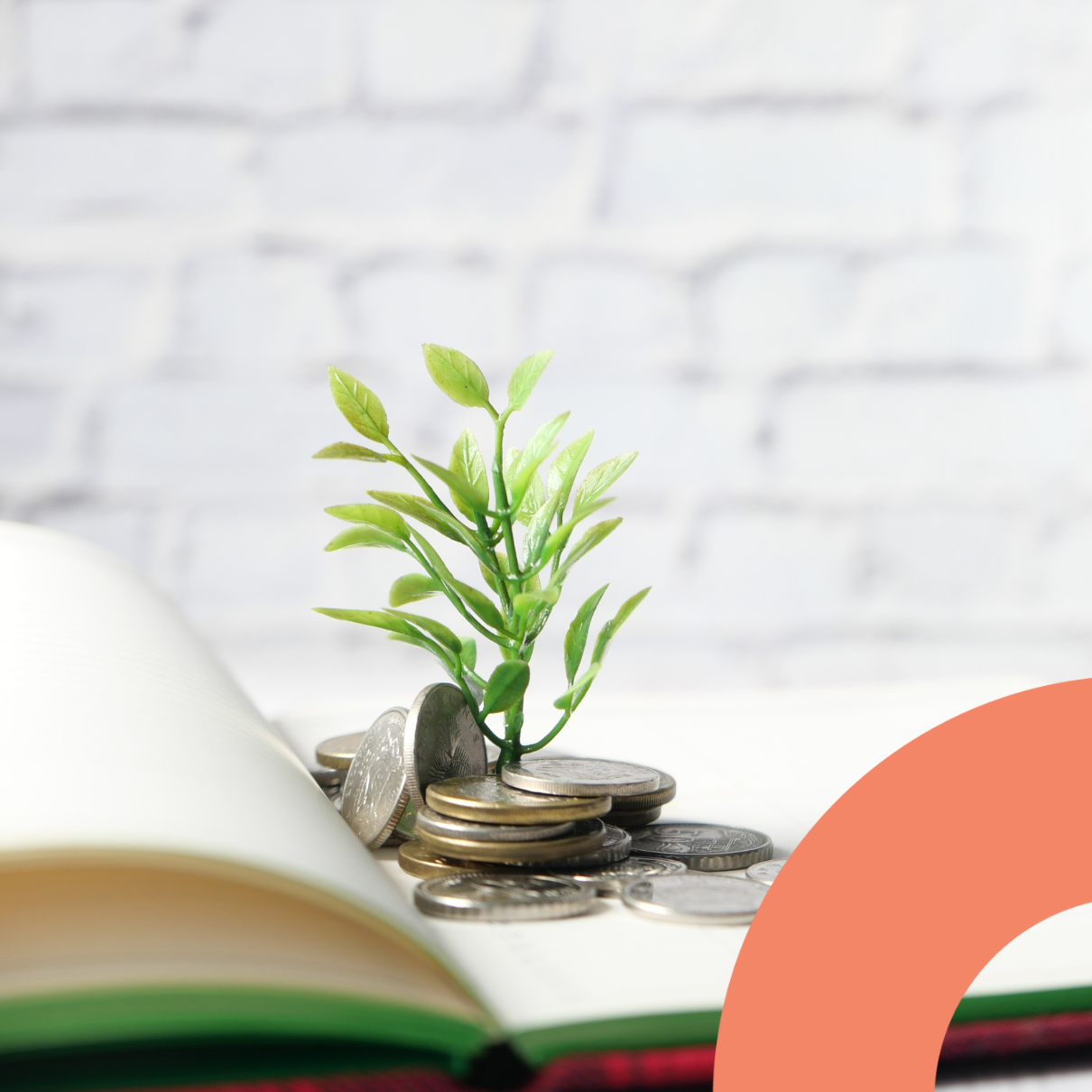 Letteraandelen onder vuur: wijziging BOR per 2026 vraagt om directe ...